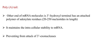 NA- 03: Ribonucleic acid (RNA) | PPTX