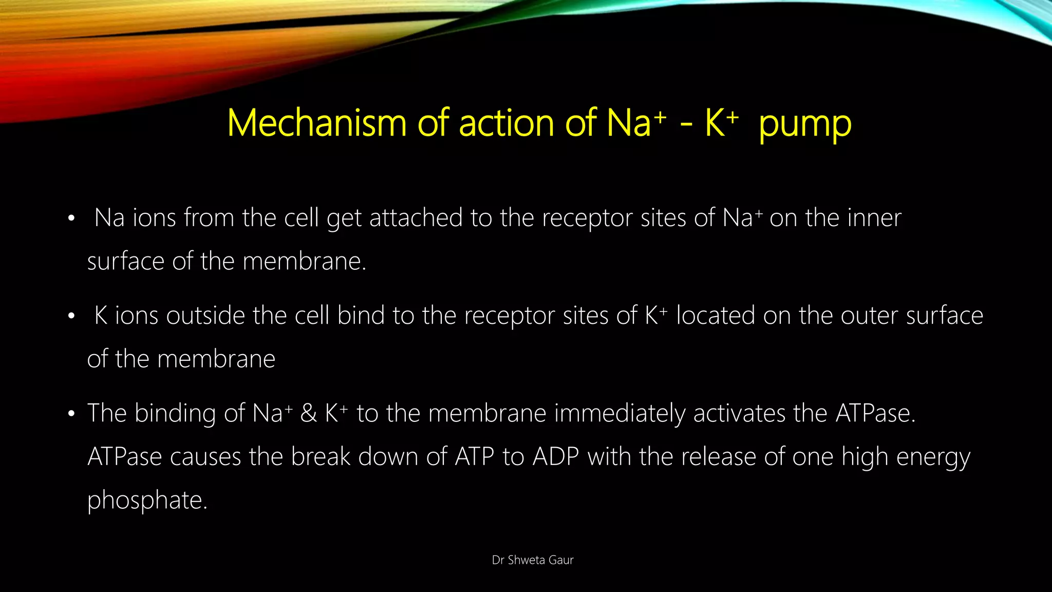 Na k pump | PPTX