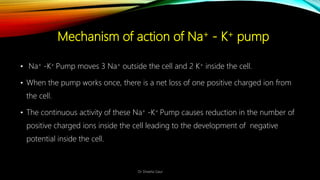 Na k pump | PPTX