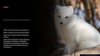 Naali | PPT | Free Download