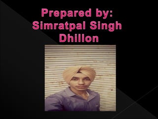 Naav ( ਨਾਂਵ ) | PPTX