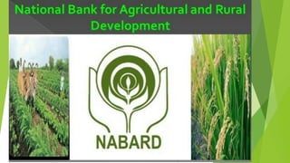 Nabard(3) | PDF
