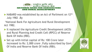 Nabard(3) | PDF