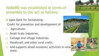 Nabard(3) | PDF