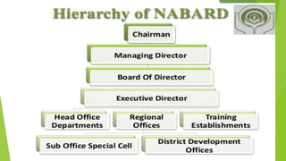 Nabard(3) | PDF