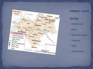 Project sponsored by Nabard in district- Katni | PPTX