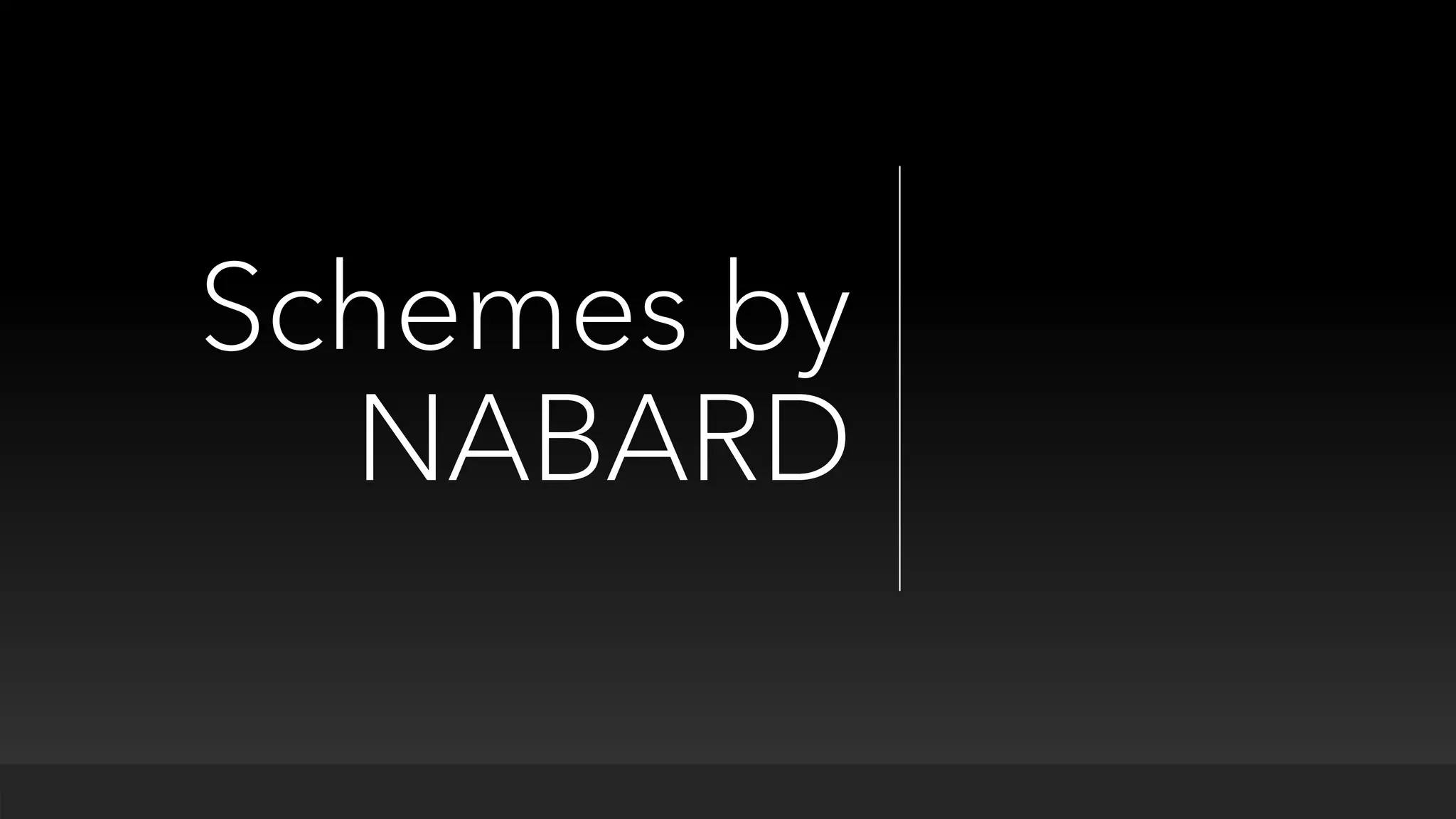 NABARD Norms.pdf