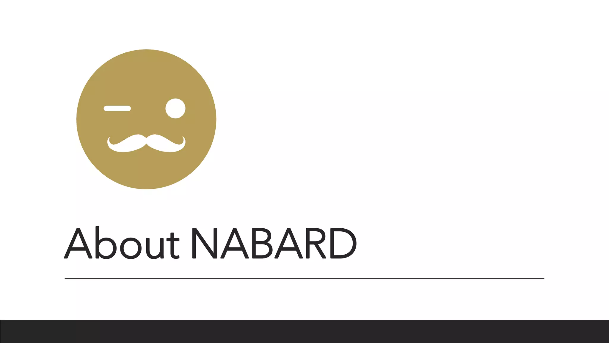 NABARD Norms.pdf