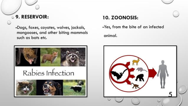 Biosafety related to Rabies Virus or Mad Dog.pptx