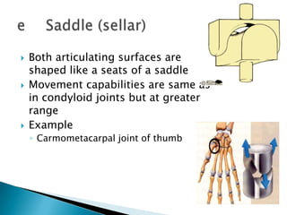 Joint Architecture Bio mechanics (Presentation) | PPTX