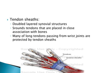 Joint Architecture Bio mechanics (Presentation) | PPTX