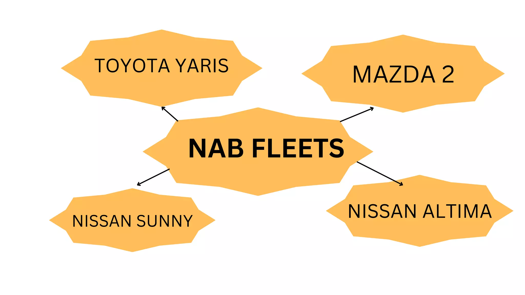NAB FLEETS.pdf