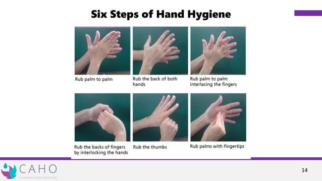 NABH-Series5 hospital infection committee | PDF