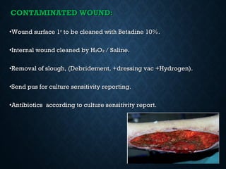 NABH guidelines - Dr Chintan N Patel | PPT