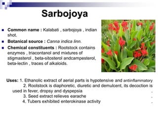 Thirty available crude drugs of Bangladesh | PDF