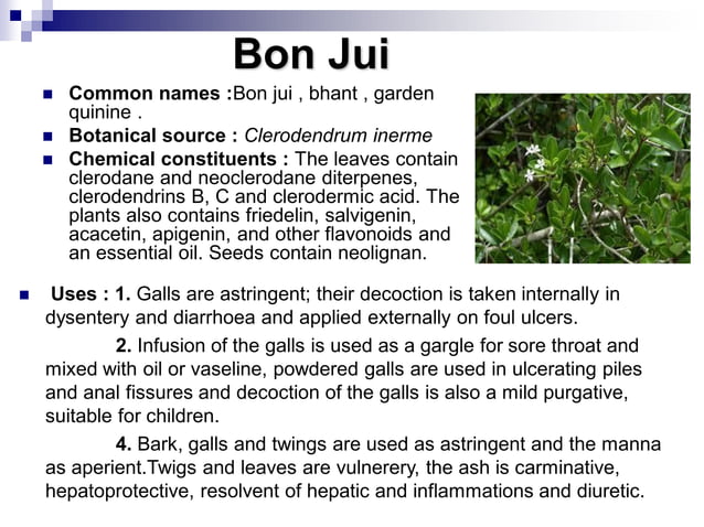 Thirty available crude drugs of Bangladesh | PPT