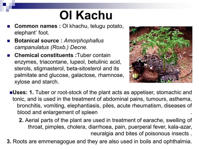 Thirty available crude drugs of Bangladesh | PPT