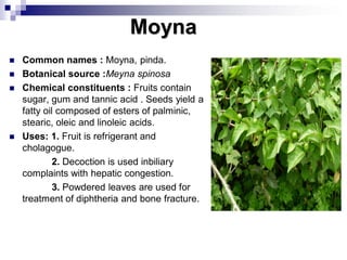 Thirty available crude drugs of Bangladesh | PPT