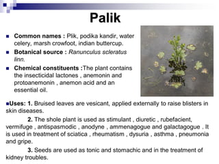 Thirty available crude drugs of Bangladesh | PPT