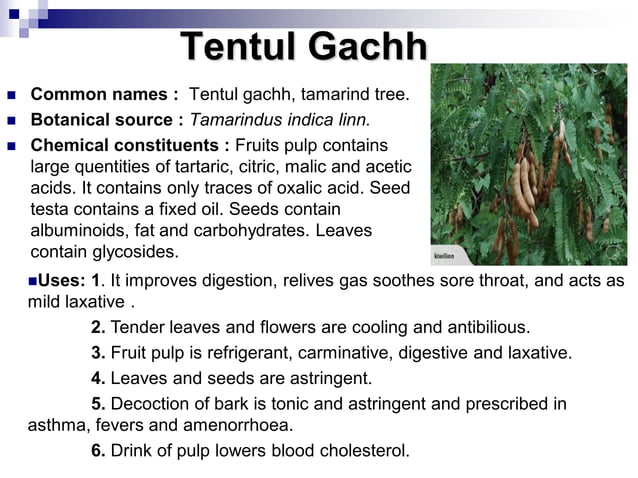 Thirty available crude drugs of Bangladesh | PDF