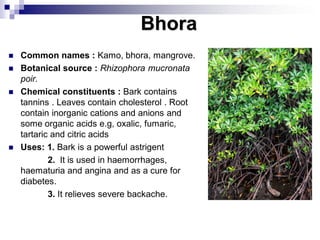 Thirty available crude drugs of Bangladesh | PDF