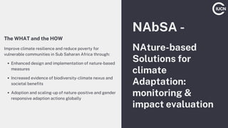 NAbSA Dialogues | Green Infrastructures for Urban Resilience | PDF