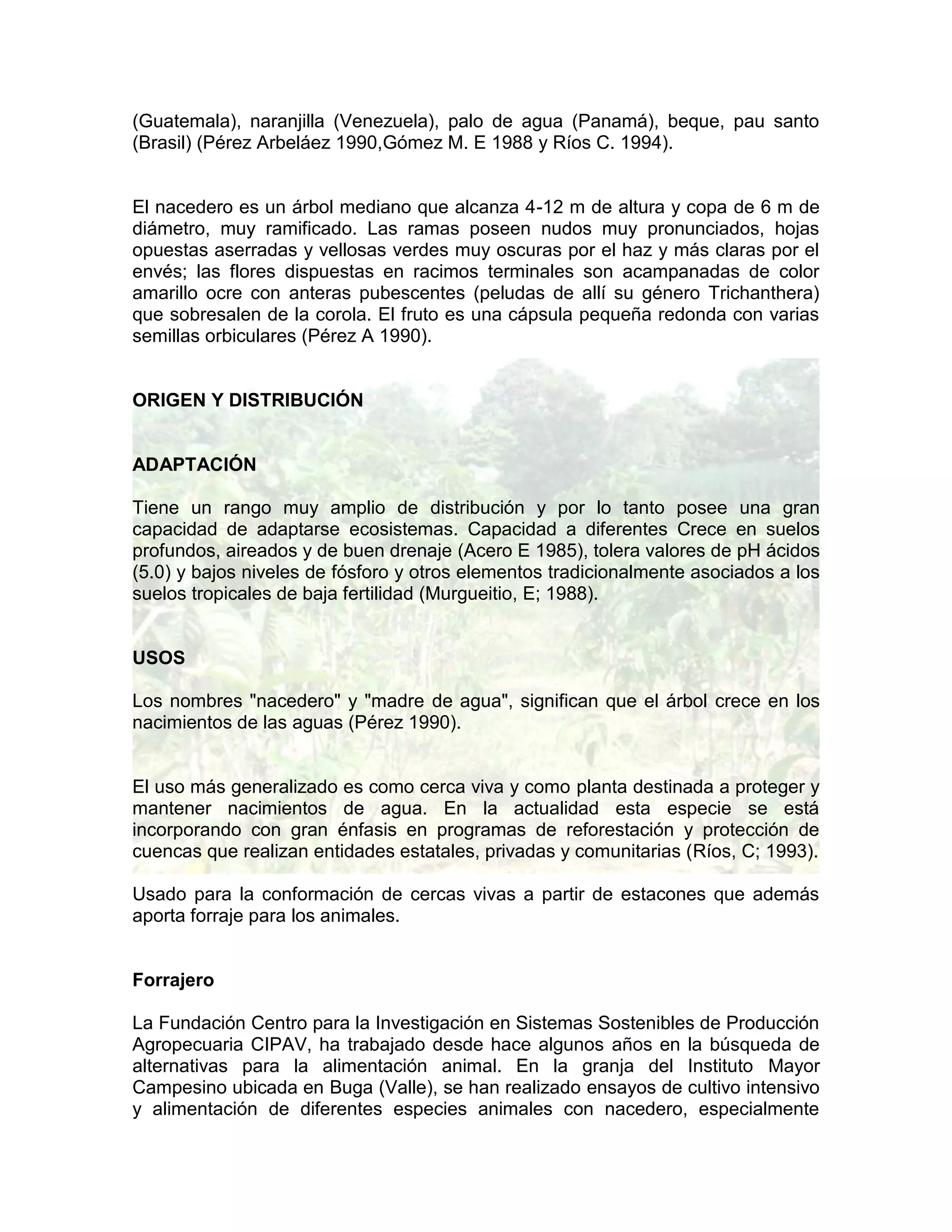 Nacedero trichanthera gigantea | PDF