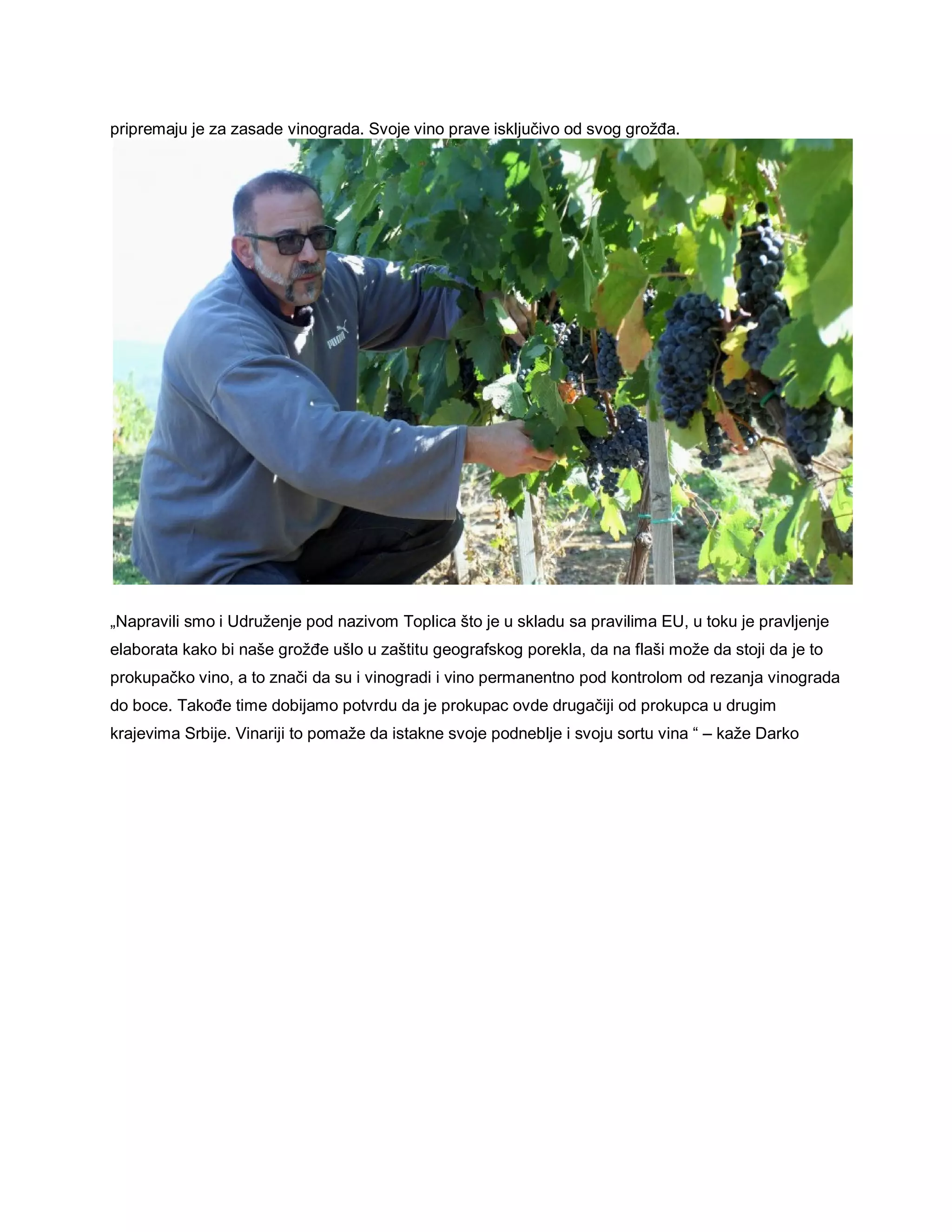 Autohtona vina su na ceni | PDF