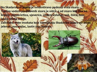 Nacionalni park-skadarsko-jezero | PPTX