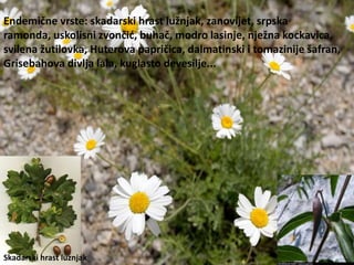 Nacionalni park-skadarsko-jezero | PPTX