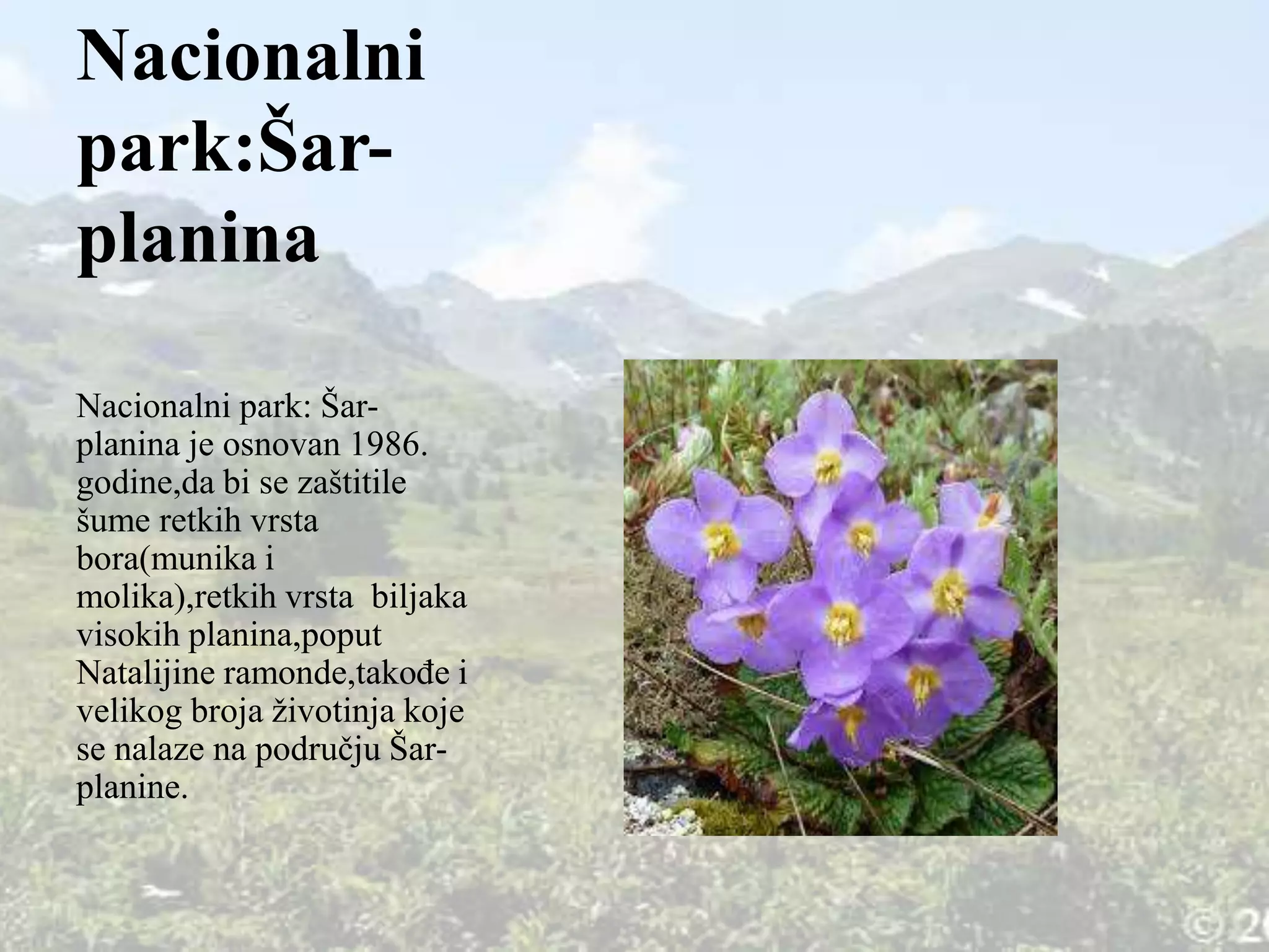 Nacionalni park šar planina. | PPTX