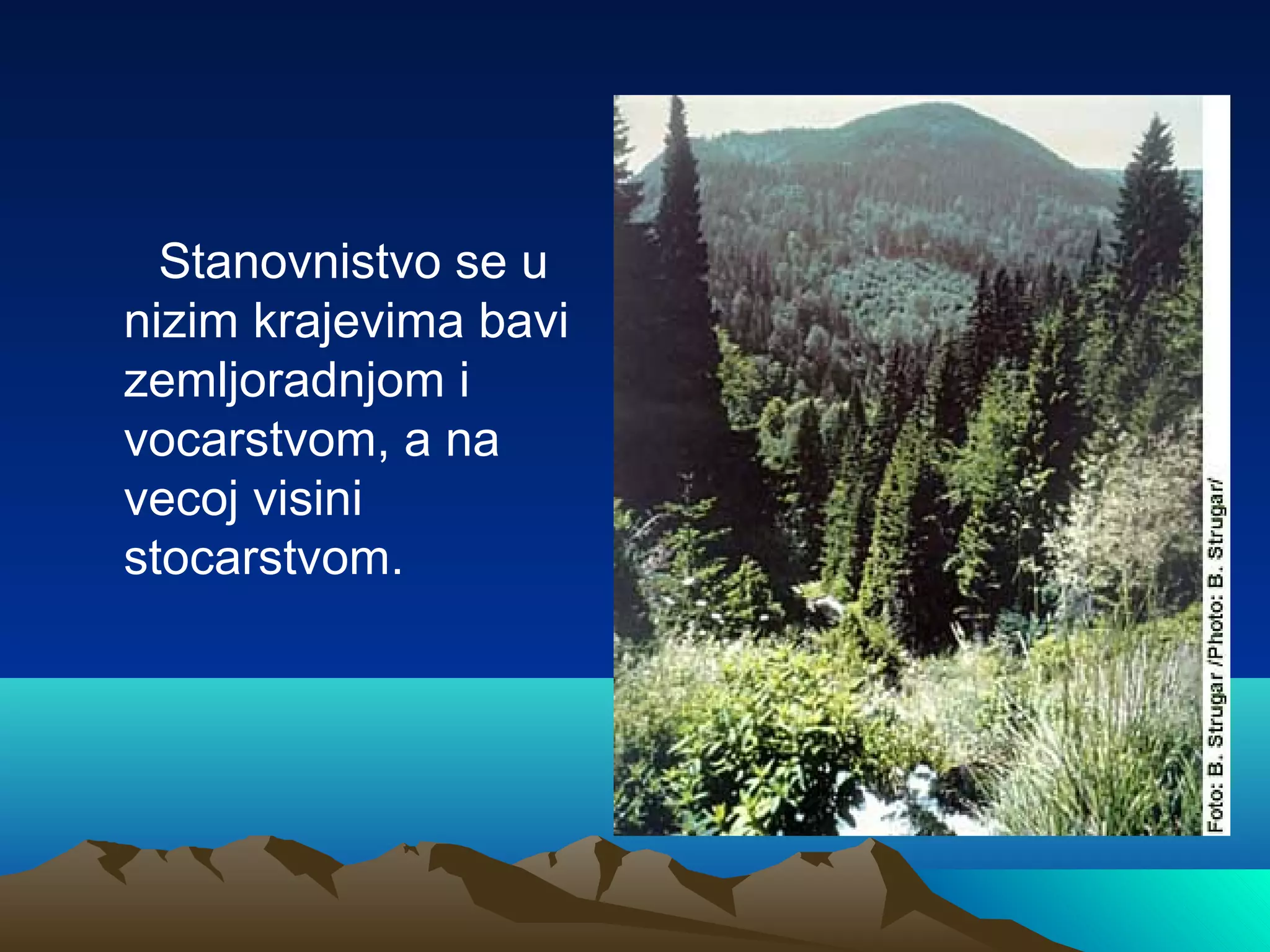 Nacionalni park Kopaonik Saša Stojanović | PPT