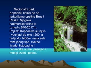 Nacionalni park Kopaonik Saša Stojanović | PPT