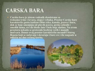 Nacionalni parkovi, rezervati i spomenici prirode u Srbiji | PPTX