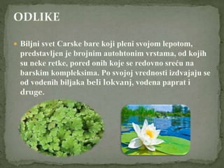 Nacionalni parkovi, rezervati i spomenici prirode u Srbiji | PPTX