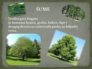 Nacionalni parkovi, rezervati i spomenici prirode u Srbiji | PPTX