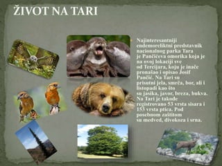 Nacionalni parkovi, rezervati i spomenici prirode u Srbiji | PPTX