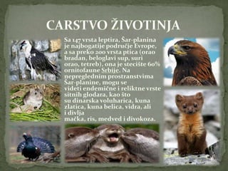 Nacionalni parkovi, rezervati i spomenici prirode u Srbiji | PPTX