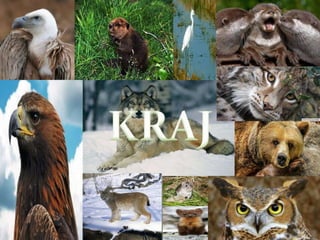 Nacionalni parkovi, rezervati i spomenici prirode u Srbiji | PPTX