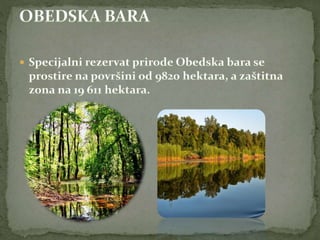 Nacionalni parkovi, rezervati i spomenici prirode u Srbiji | PPTX