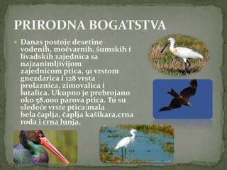 Nacionalni parkovi, rezervati i spomenici prirode u Srbiji | PPTX