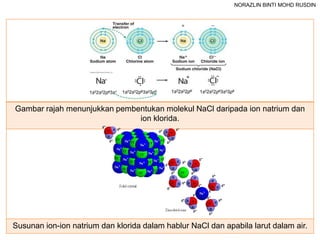 Natrium Klorida | PDF