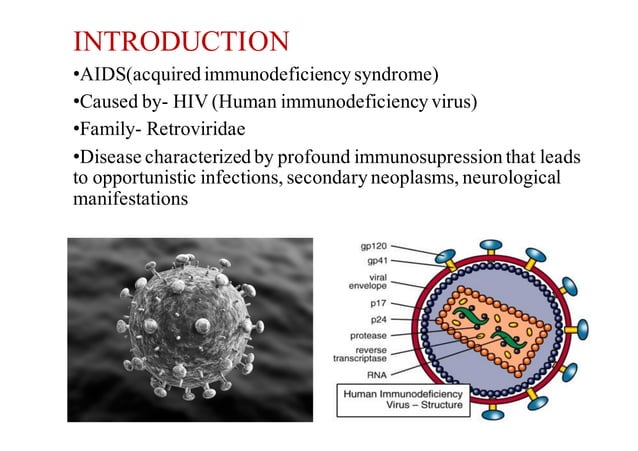 National AIDS Control Programme | PDF