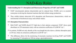 NAD(Nicotinamide Adenine Dinucleotide)- Role as Coenzyme.pptx