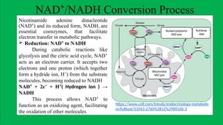 NAD(Nicotinamide Adenine Dinucleotide)- Role as Coenzyme.pptx