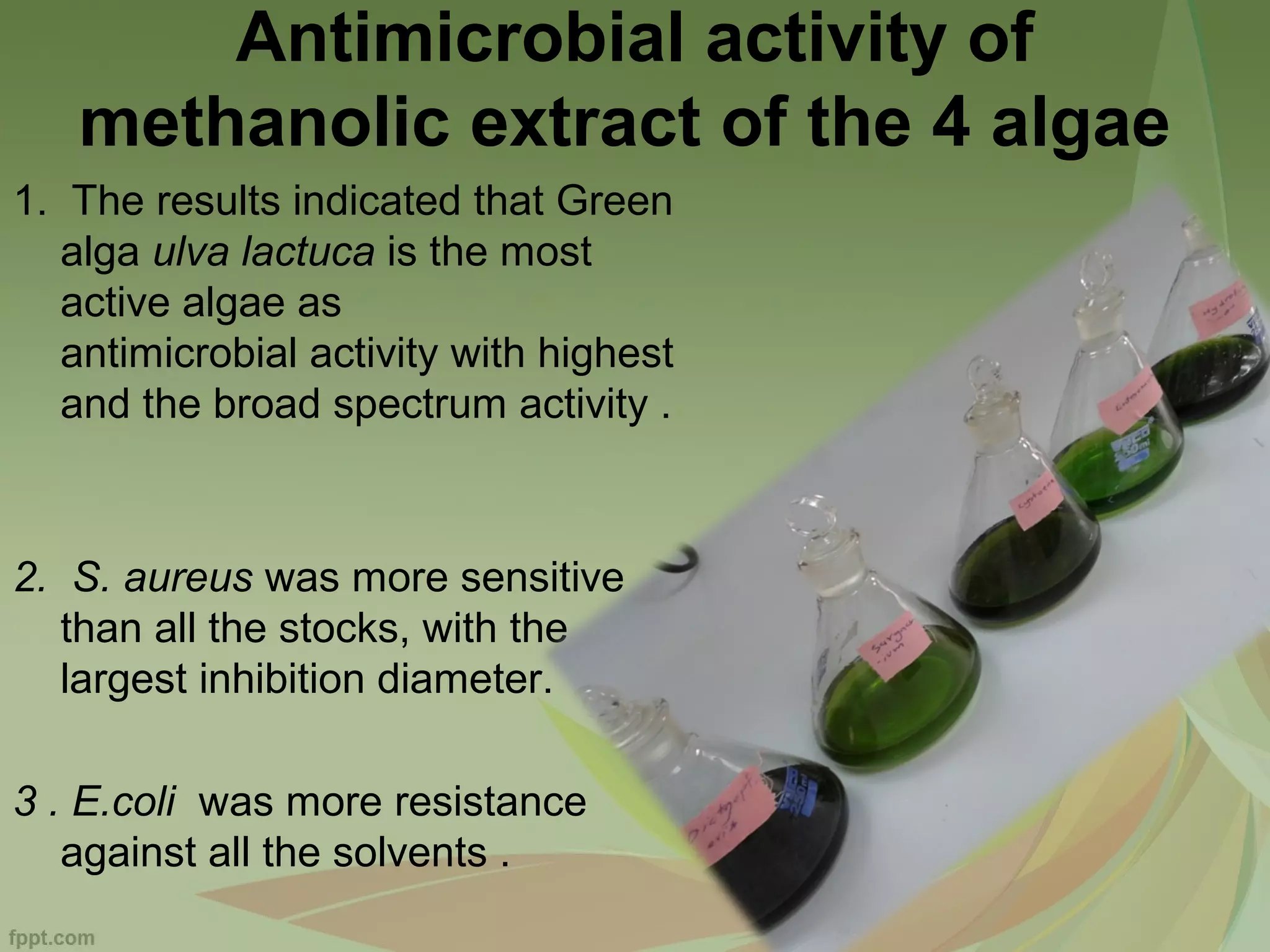 Antibacterial Activity of Libyan Macroalgae | PPT