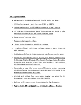 Nadeem cv n | DOCX