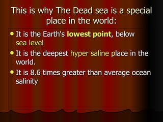 Nadera's presentation on The Dead Sea | PPT