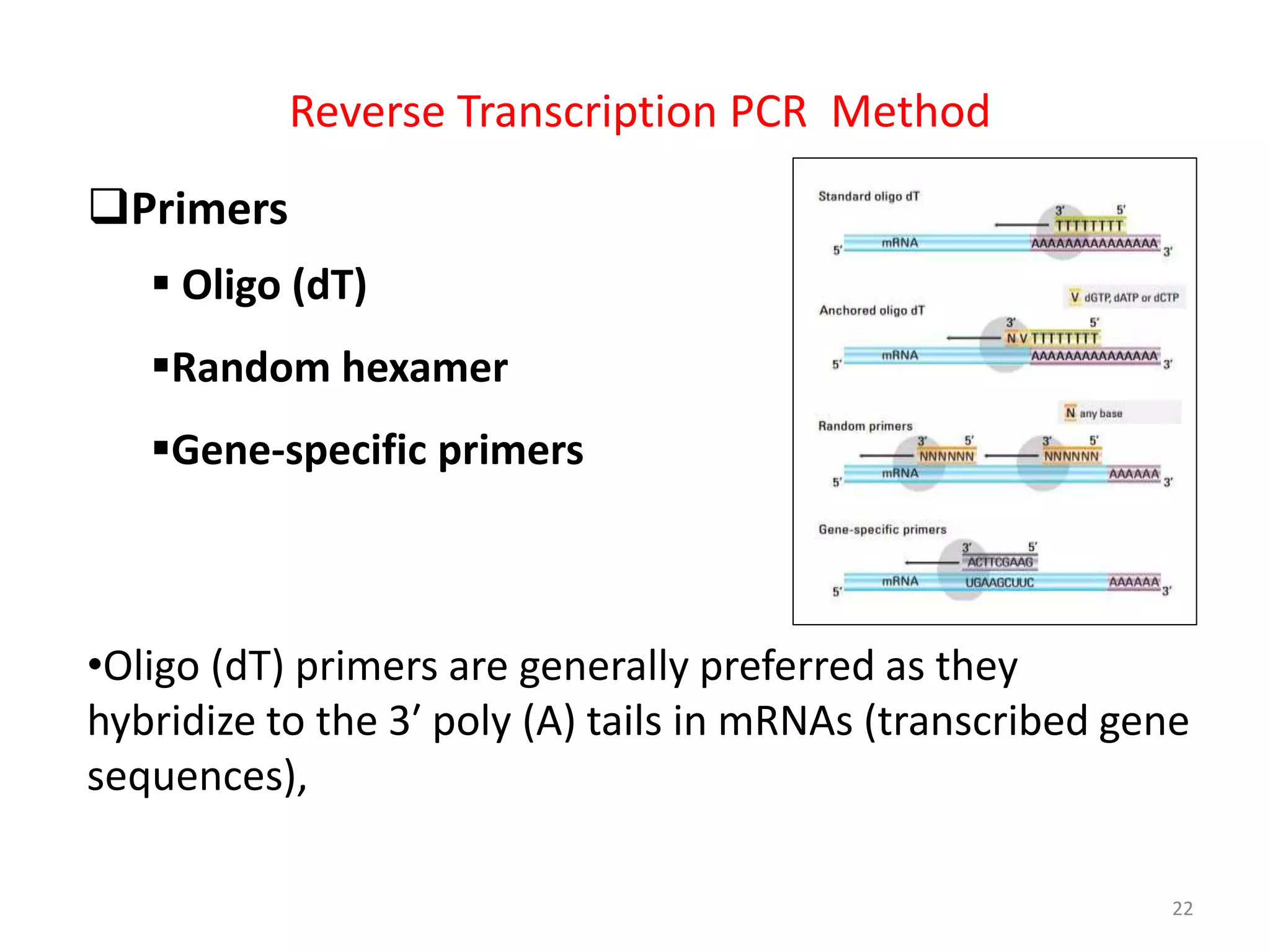 Nucleic acid detection Techniques | PPTX