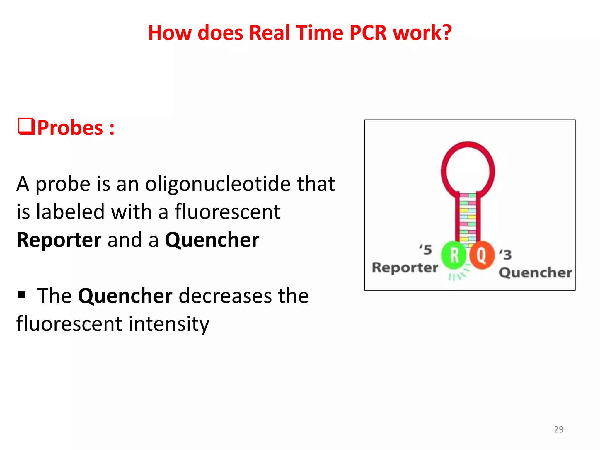 Nucleic acid detection Techniques | PPTX